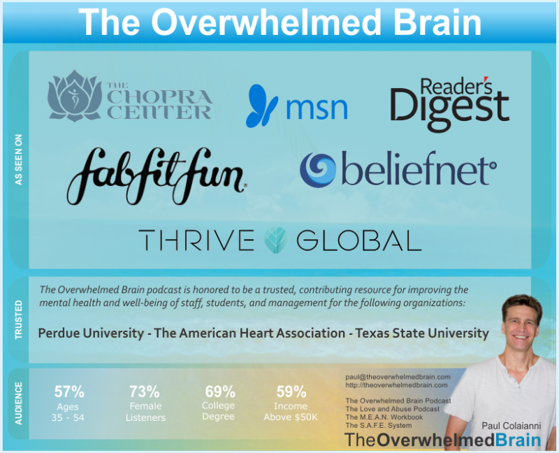 Media Kit - The Overwhelmed Brain